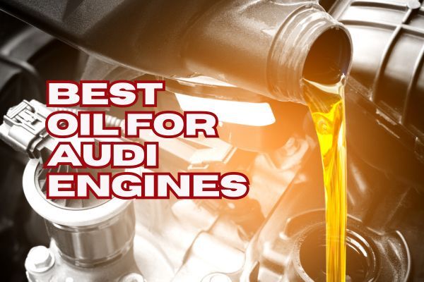 Best Oil for Audi Engines - Steve's Automotive Specialists